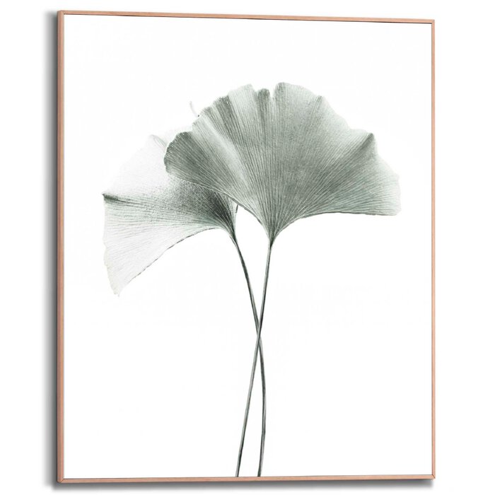 Wandbild 40 x 50 cm Ginko Blatt Grün kaufen | Segmüller
